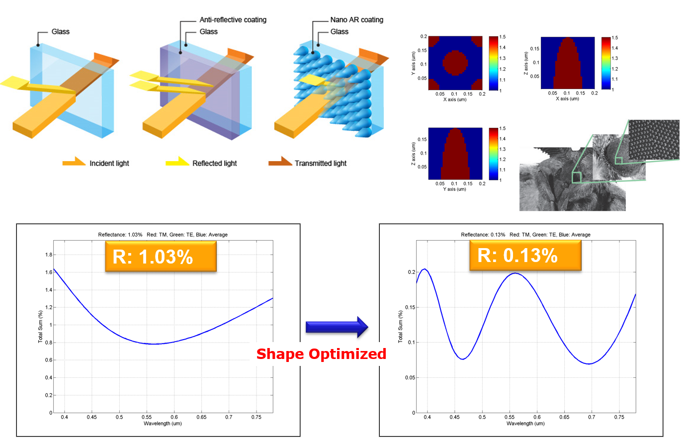 2. RaywizFILM – INSIDEOPTICS